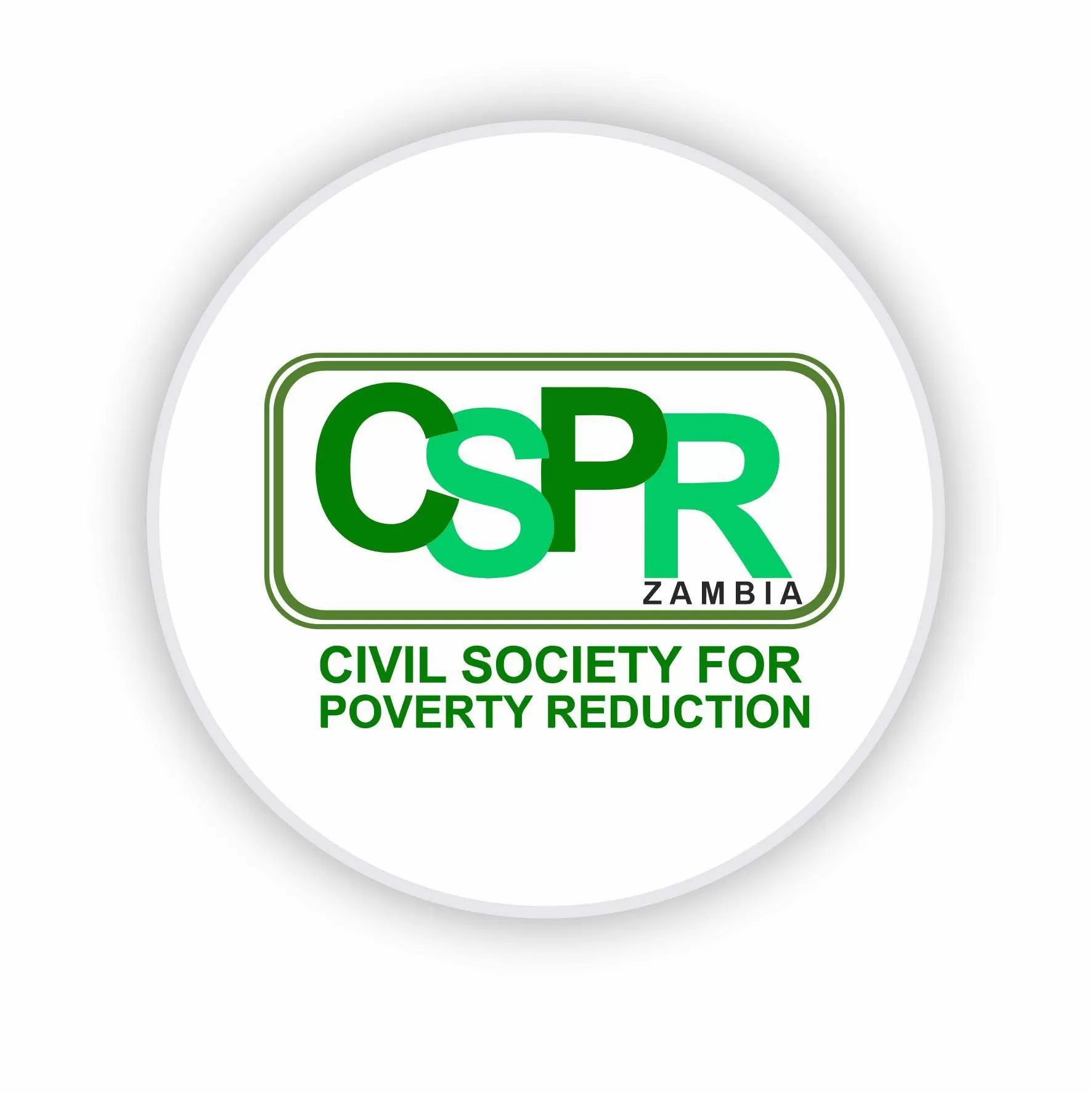 CSPR URGES TARGETED SPENDING IN KEY ECONOMIC SECTORS - Diamond Media